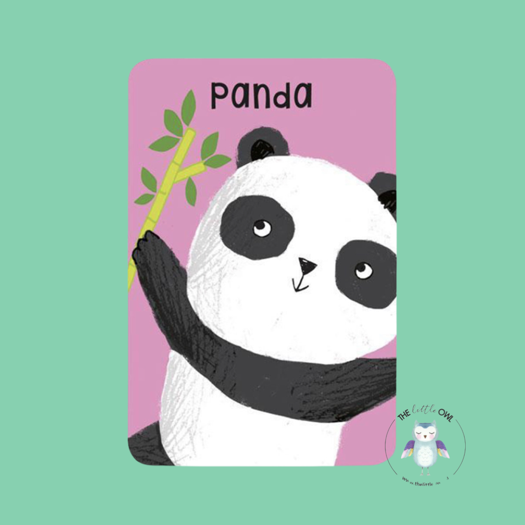 Snap Flashcards Game 4 PACK TRAY – The Little Owl